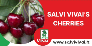 The BBCH Scale of Cherries