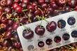 The BBCH Scale of Cherries